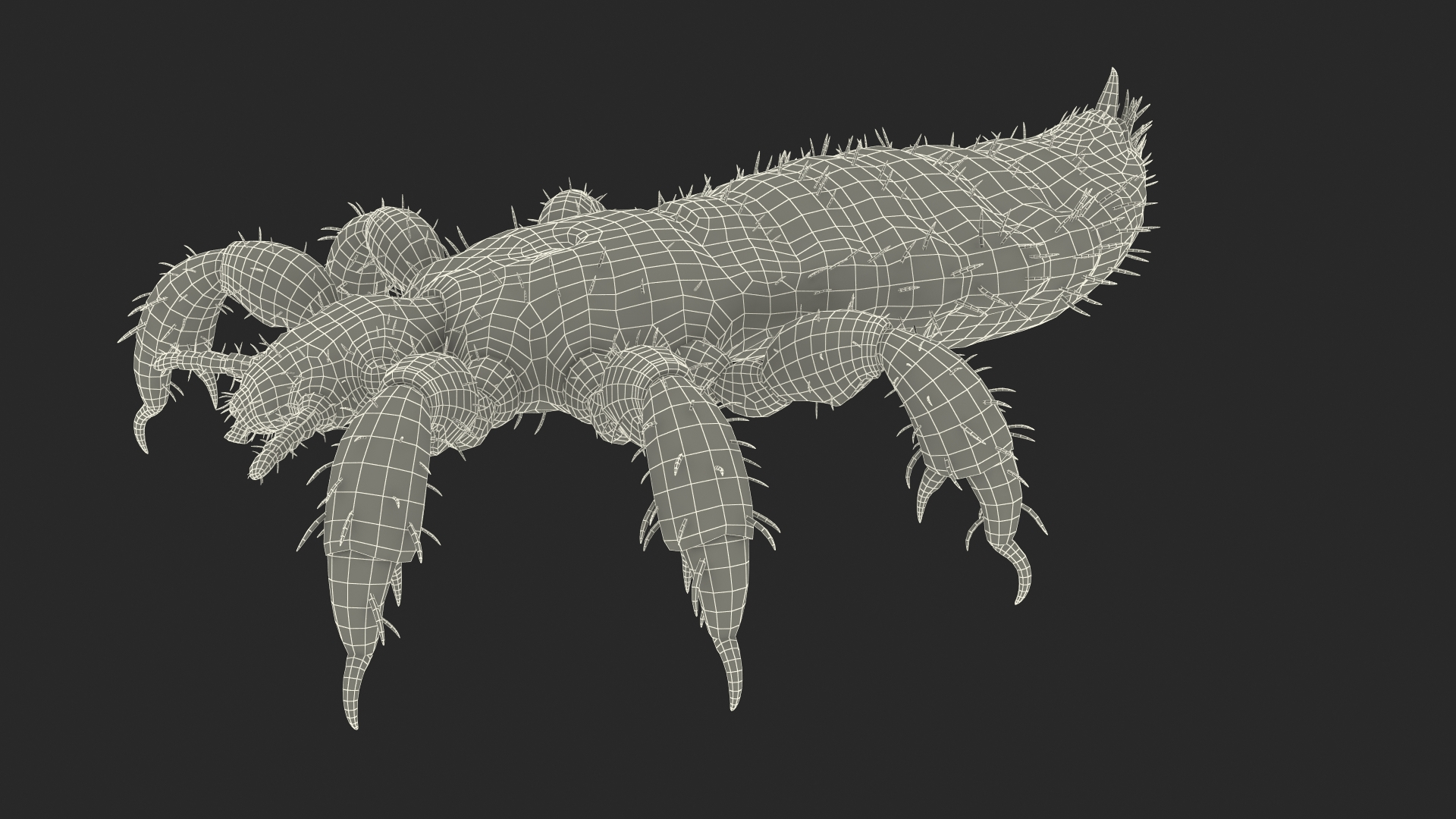 Phthiraptera White Rigged 3D Model - TurboSquid 2284269