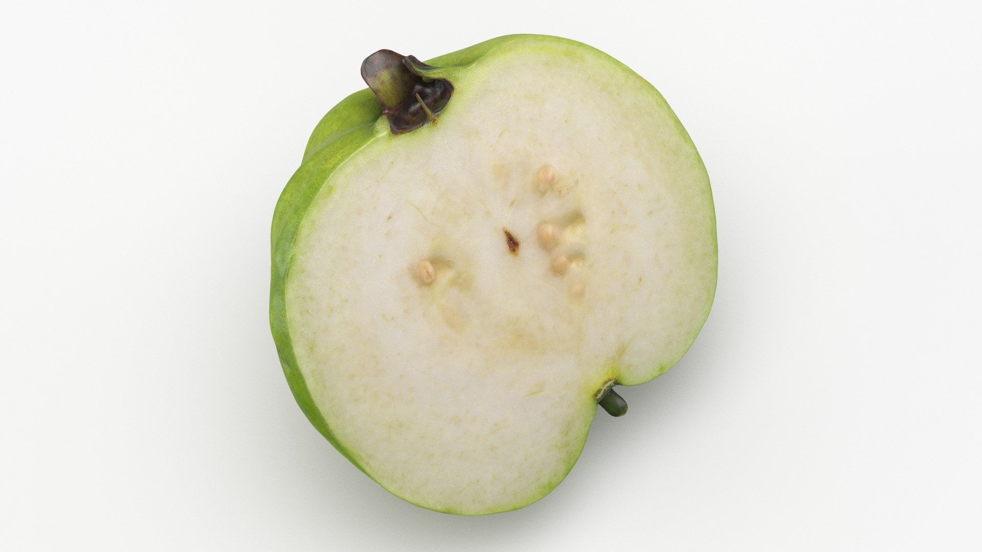 3D Half Guava - TurboSquid 1755158