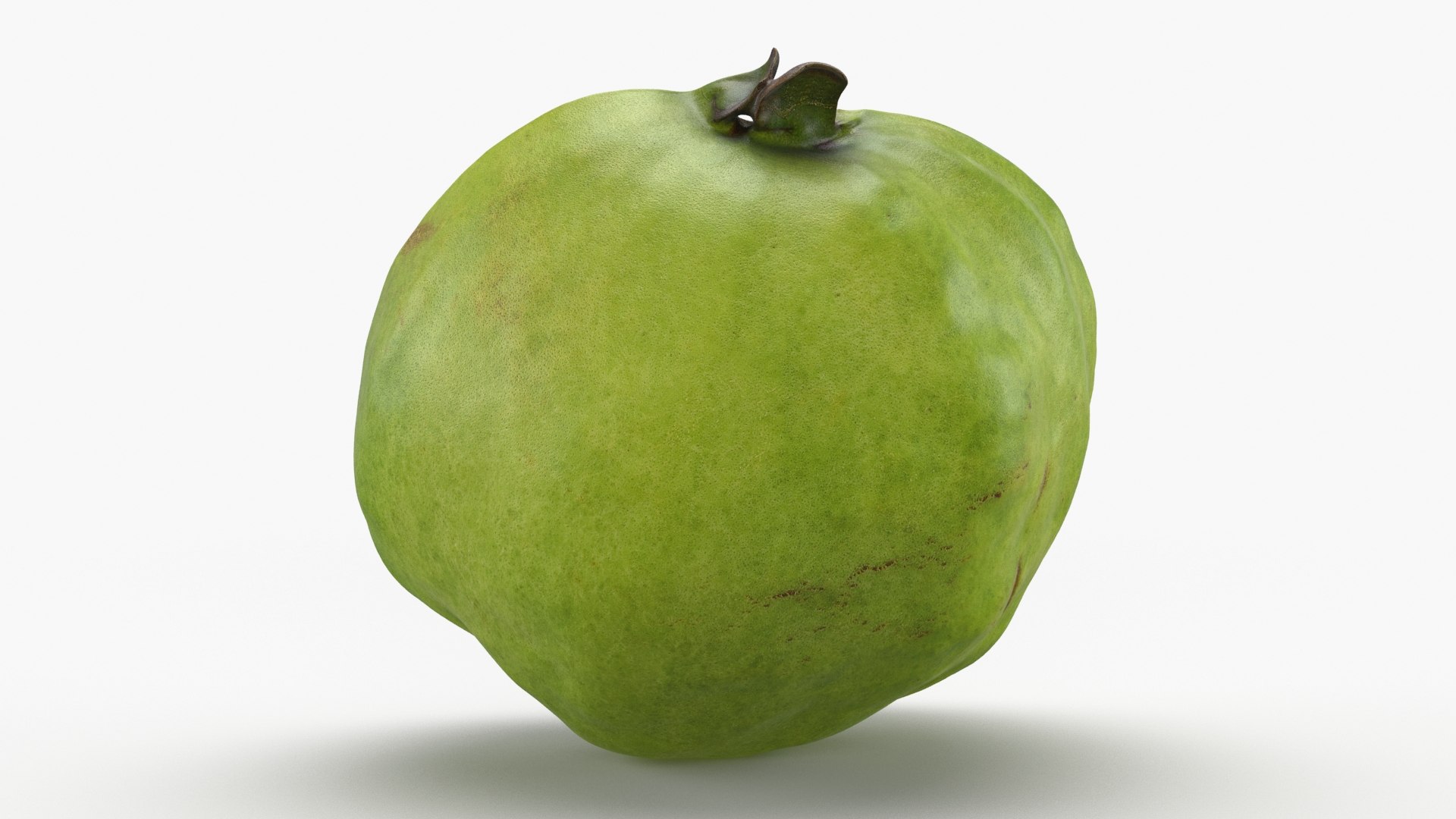 3D Half Guava - TurboSquid 1755158