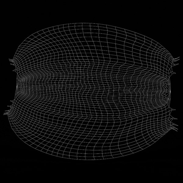 3D bell pepper - TurboSquid 1663648