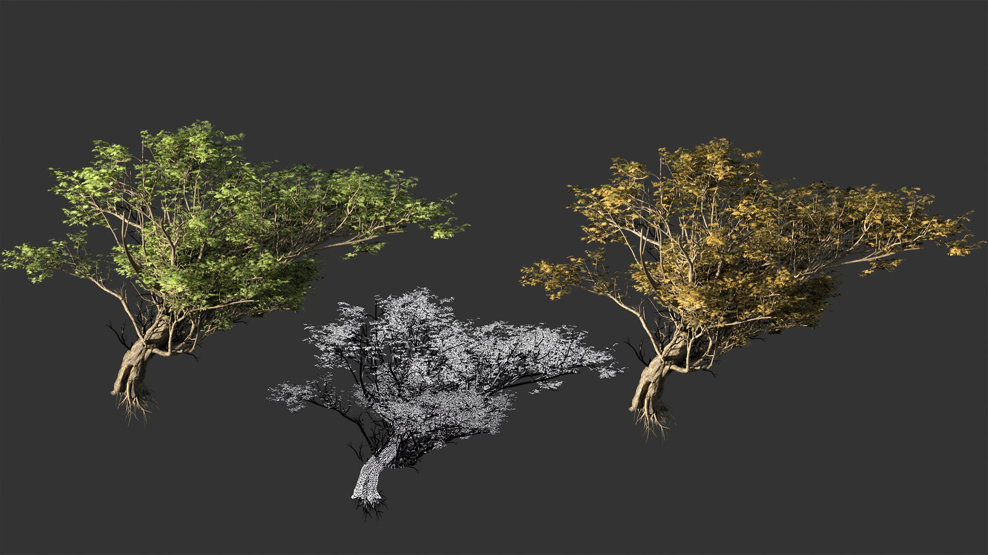 Generic Trees 3D Model - TurboSquid 2157806