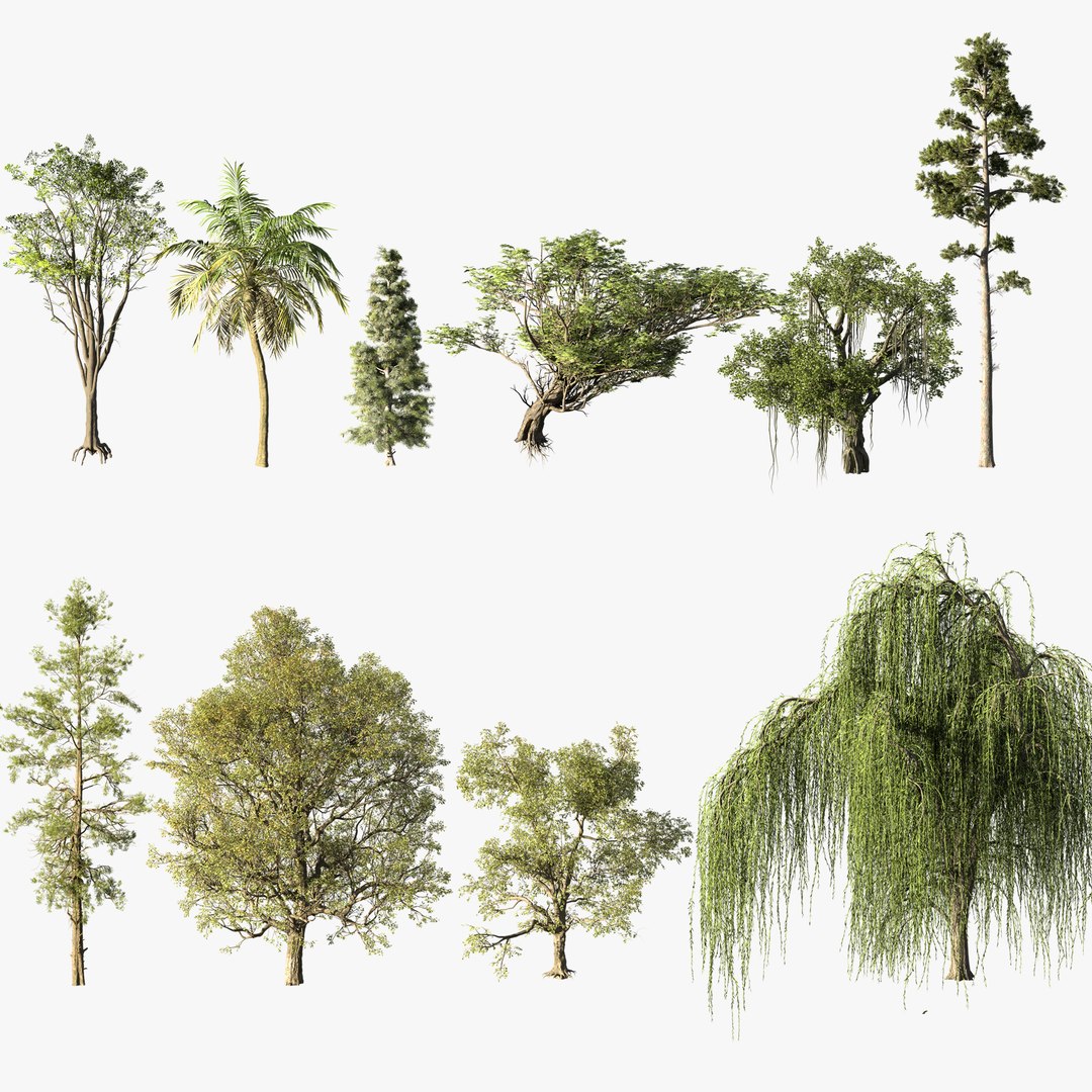 Generic Trees 3D Model - TurboSquid 2157806