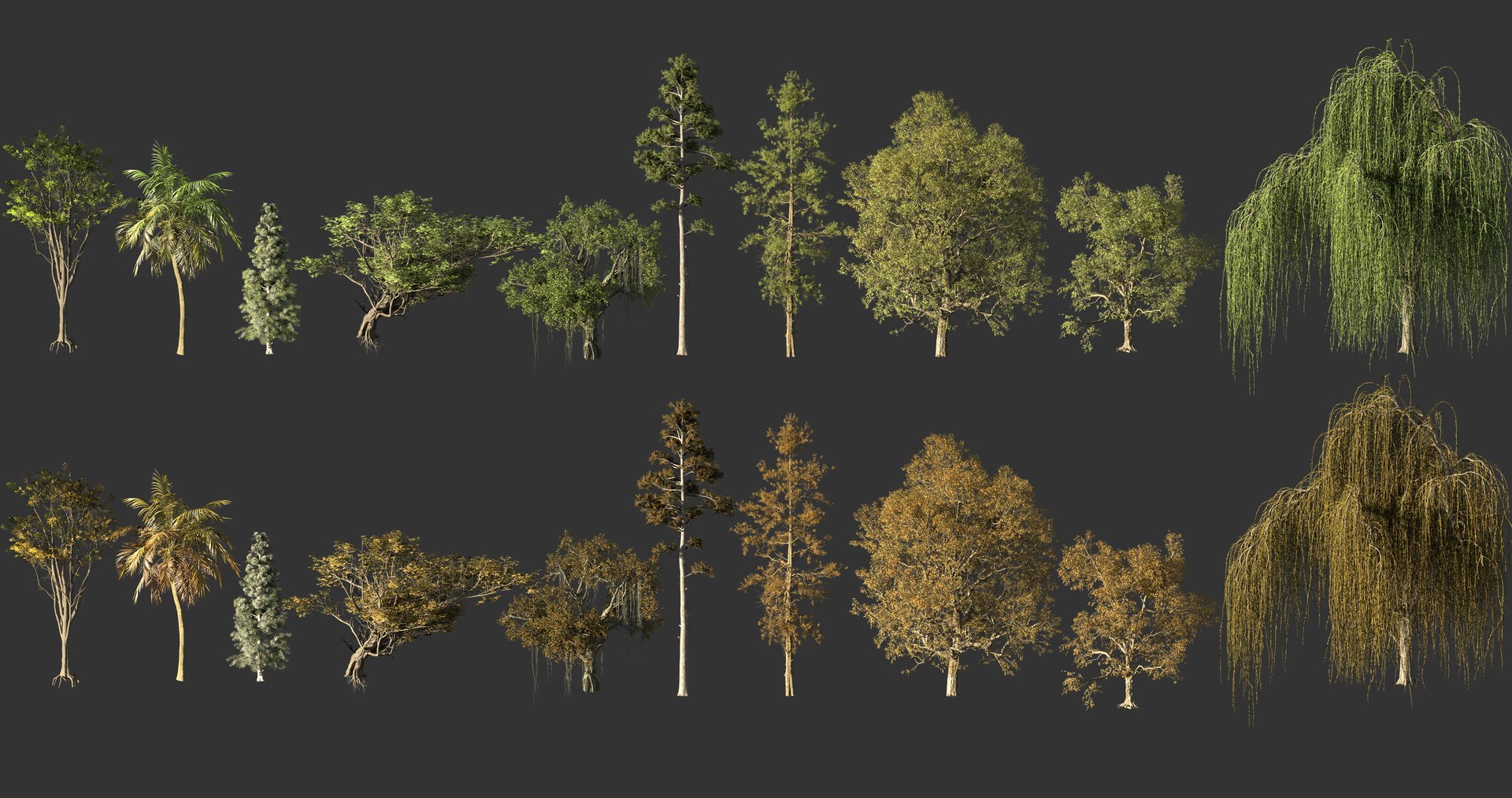 Generic Trees 3D Model - TurboSquid 2157806