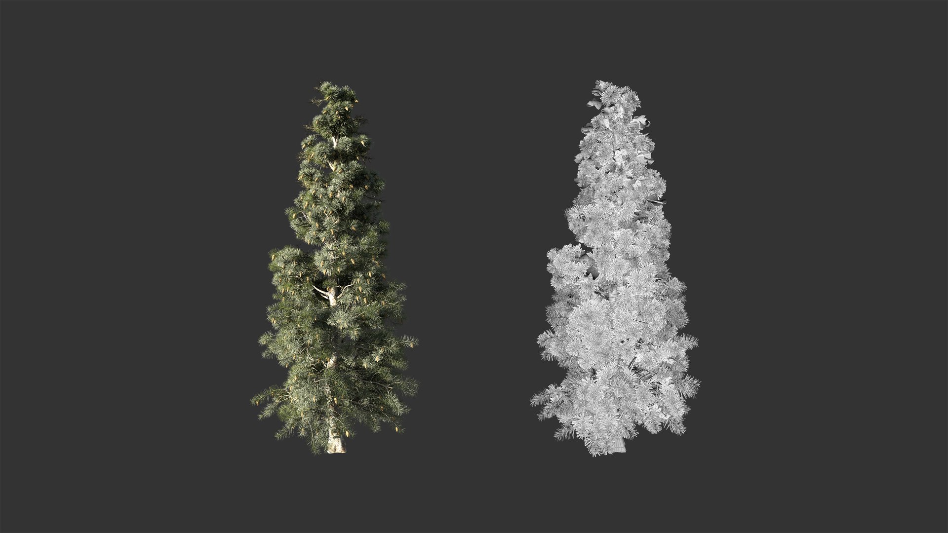 Generic Trees 3D Model - TurboSquid 2157806
