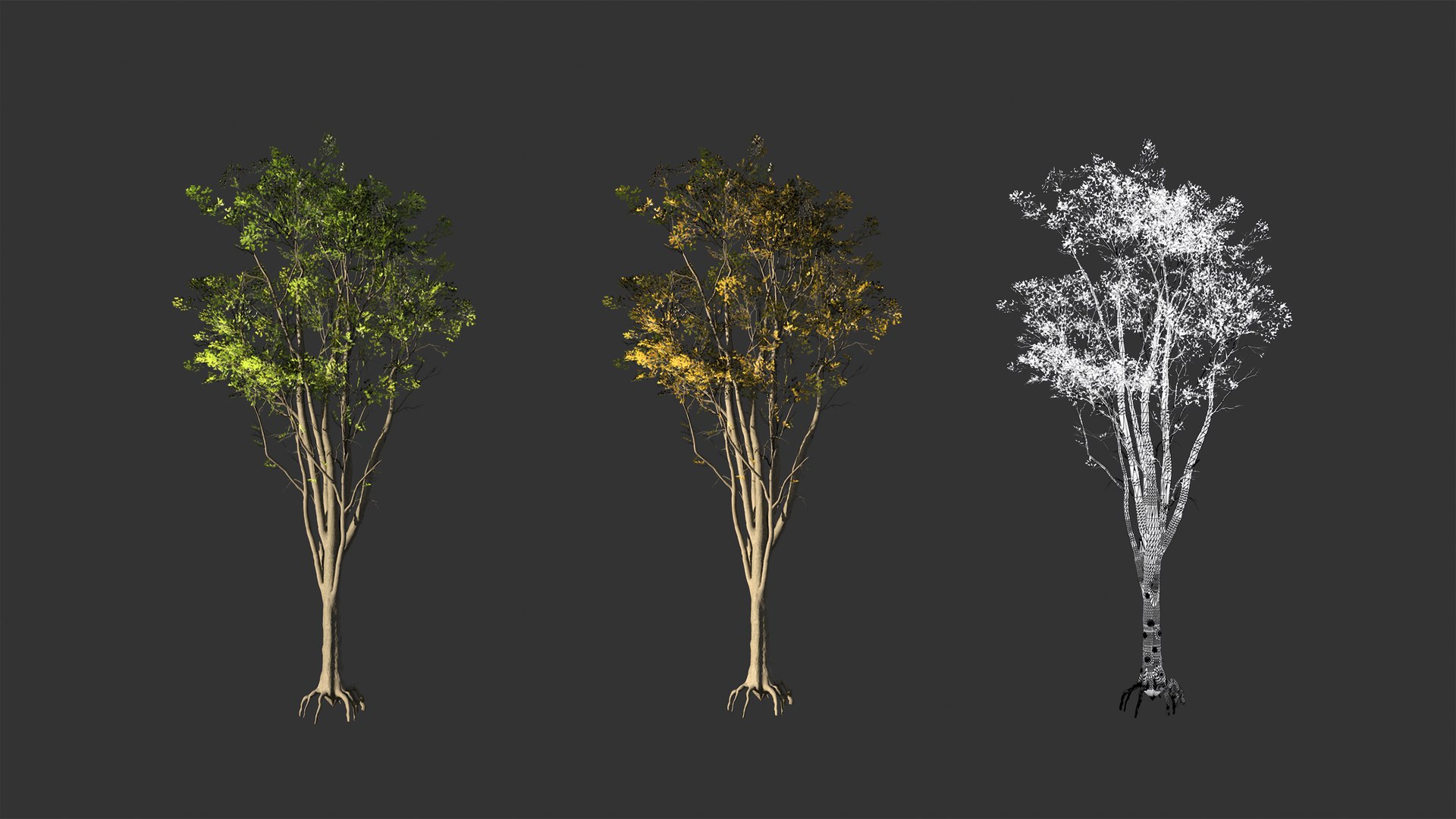 Generic Trees 3D Model - TurboSquid 2157806