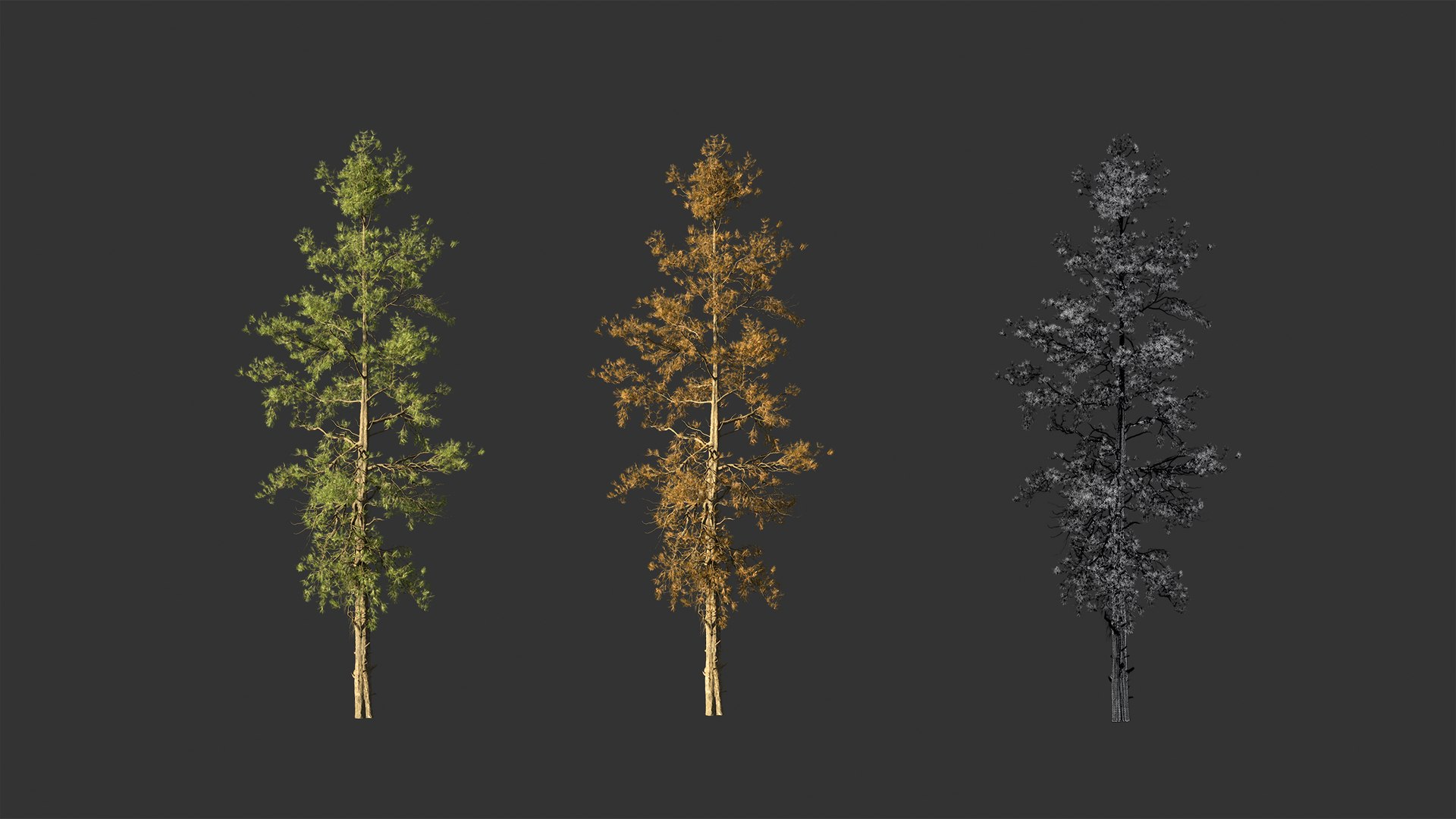 Generic Trees 3D Model - TurboSquid 2157806