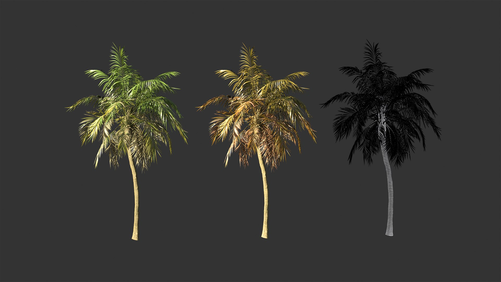 Generic Trees 3D Model - TurboSquid 2157806