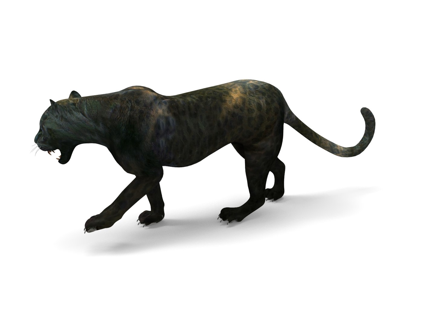 Panther Rigged 3D Model - TurboSquid 1286740