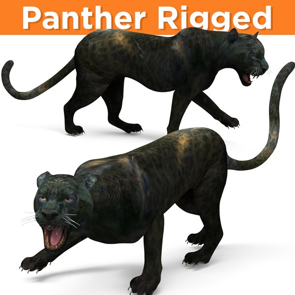 3D Panther Models | TurboSquid