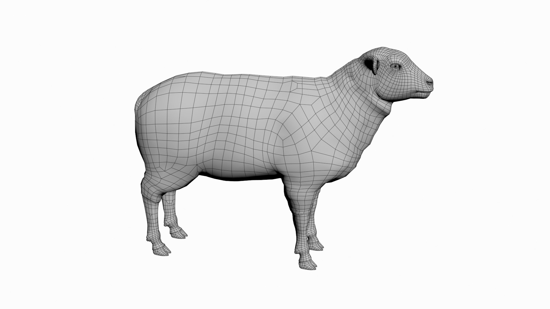 Sheep 3D Model - TurboSquid 1759197
