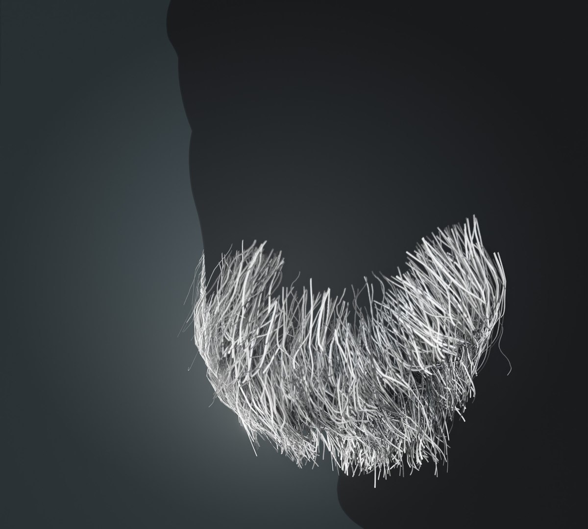 Beard RealTime 15 Version 1 Model - TurboSquid 1892381