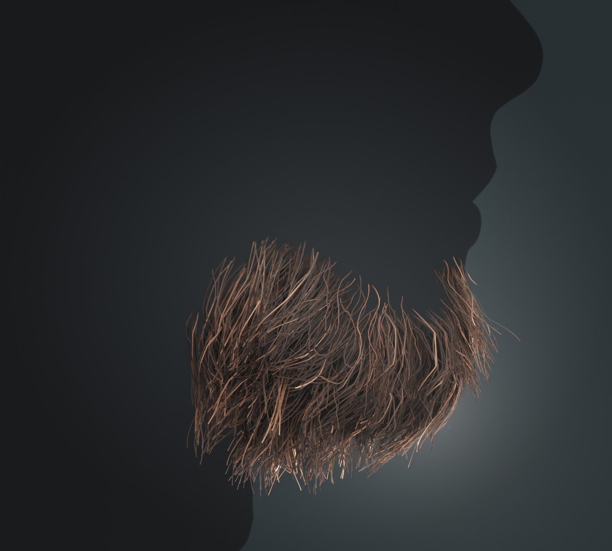 Beard RealTime 15 Version 1 Model - TurboSquid 1892381