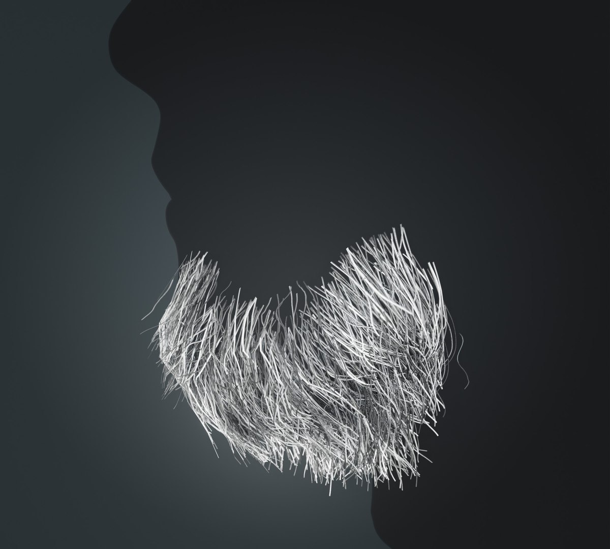 Beard RealTime 15 Version 1 Model - TurboSquid 1892381