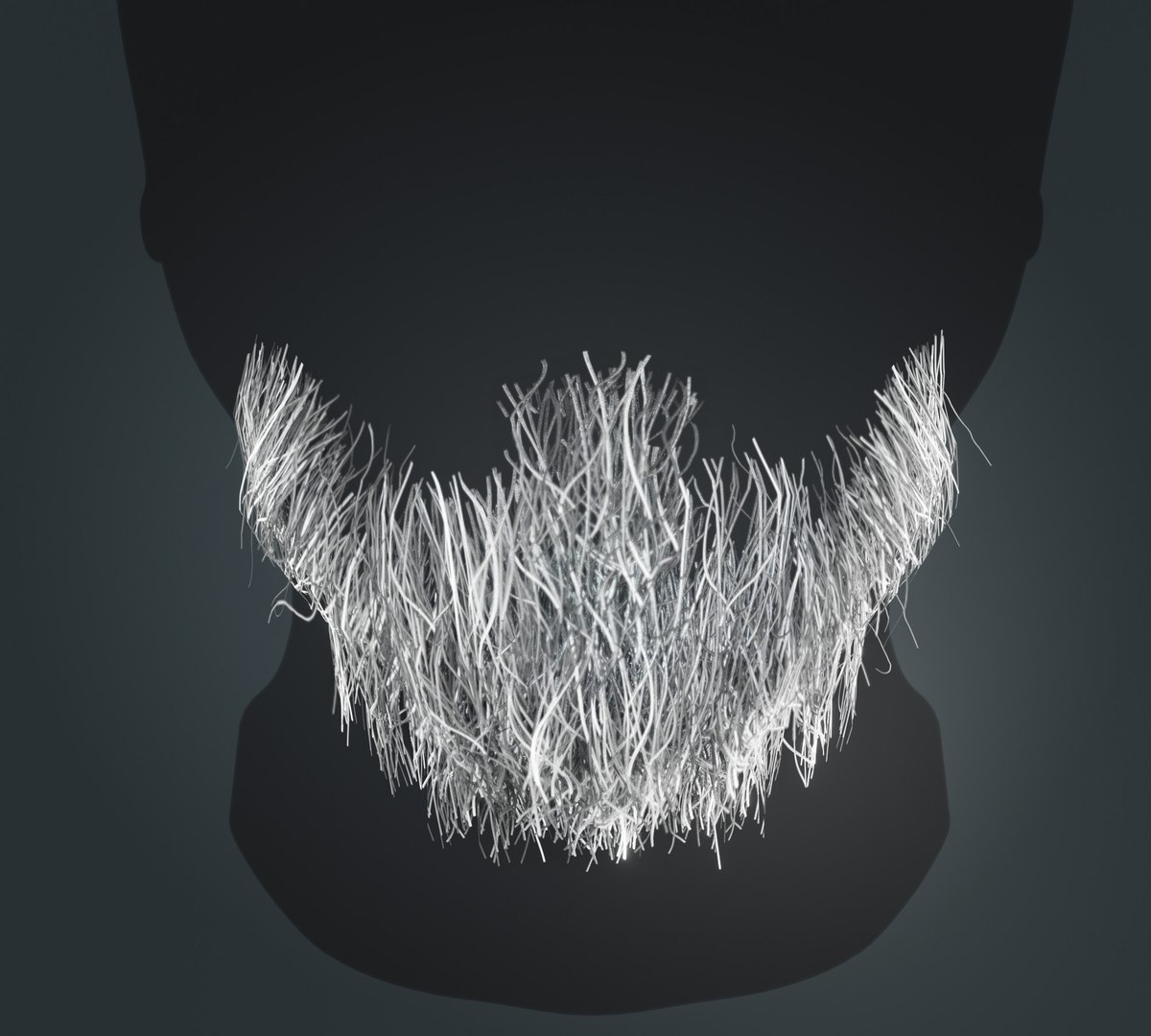 Beard RealTime 15 Version 1 Model - TurboSquid 1892381