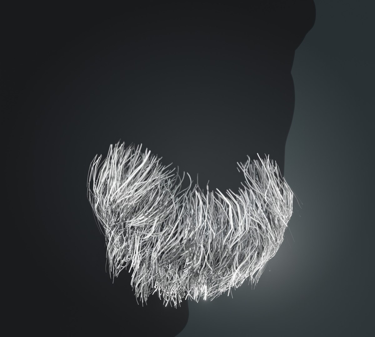 Beard RealTime 15 Version 1 Model - TurboSquid 1892381