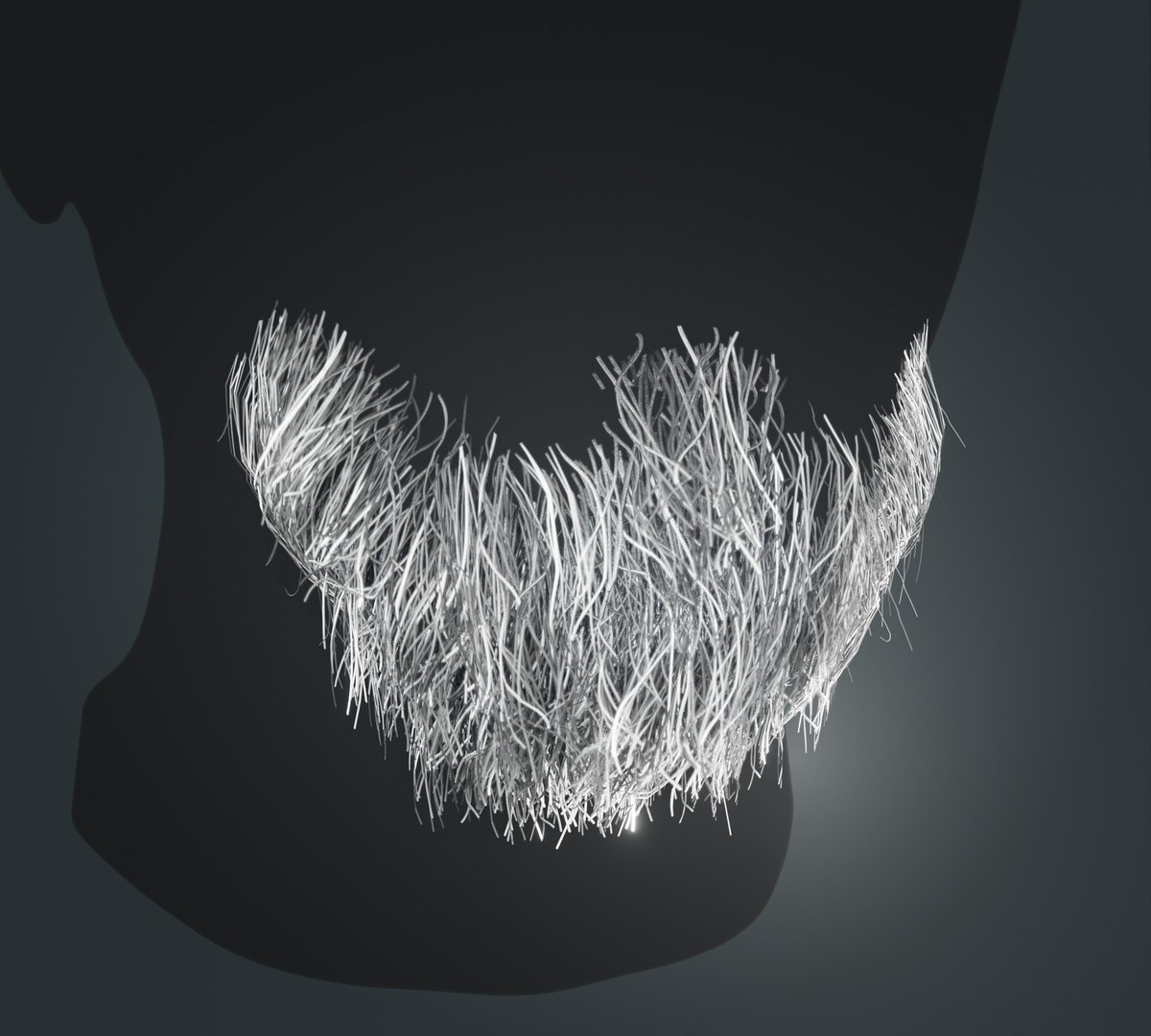Beard RealTime 15 Version 1 Model - TurboSquid 1892381