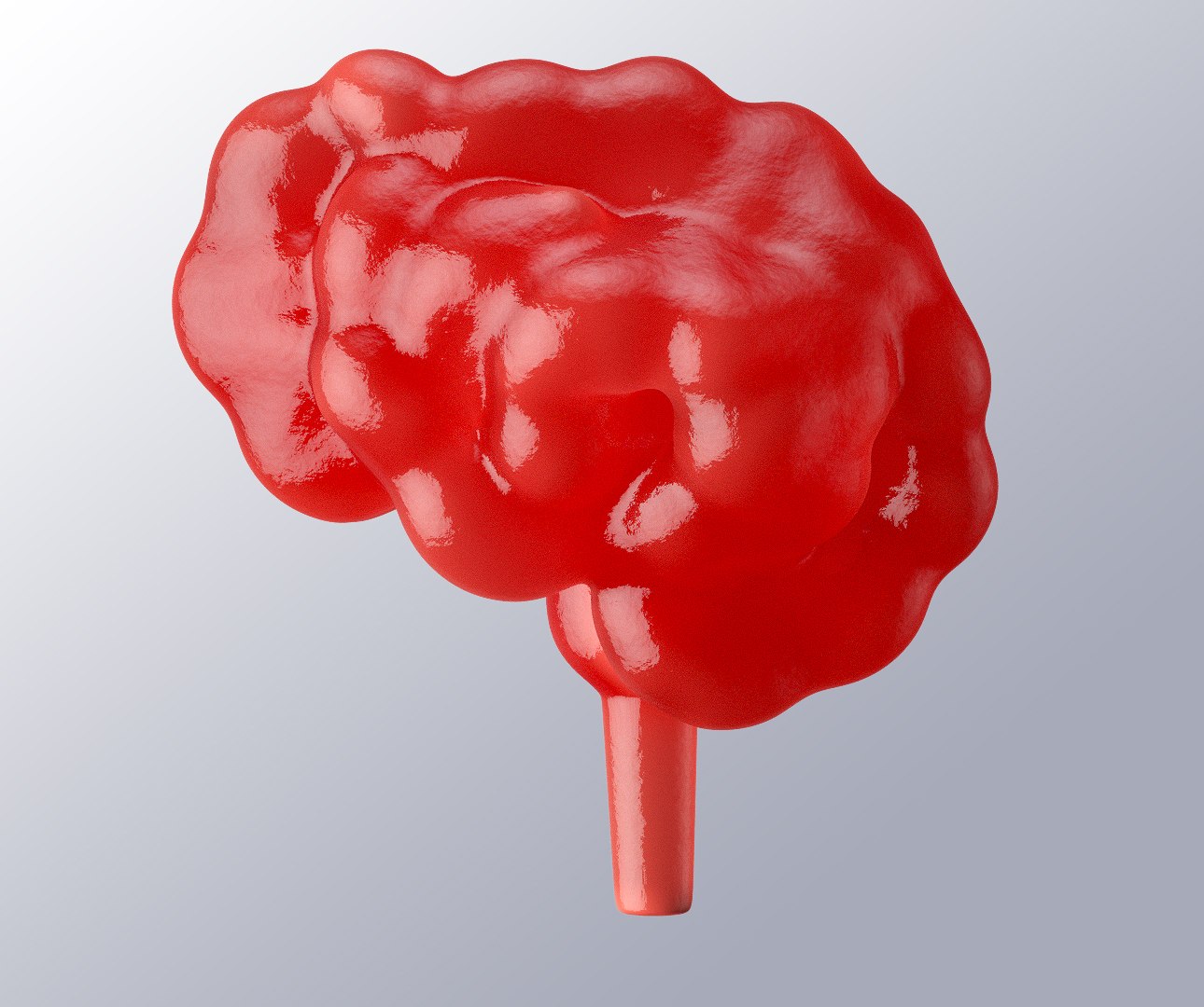 Simple Anatomy Brain 3D Model - TurboSquid 1493676