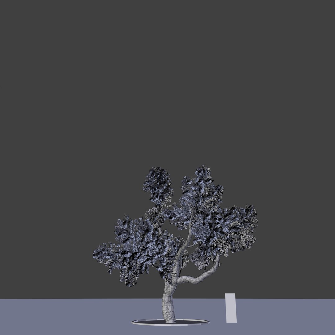 Free Max Model Tree Oak V2