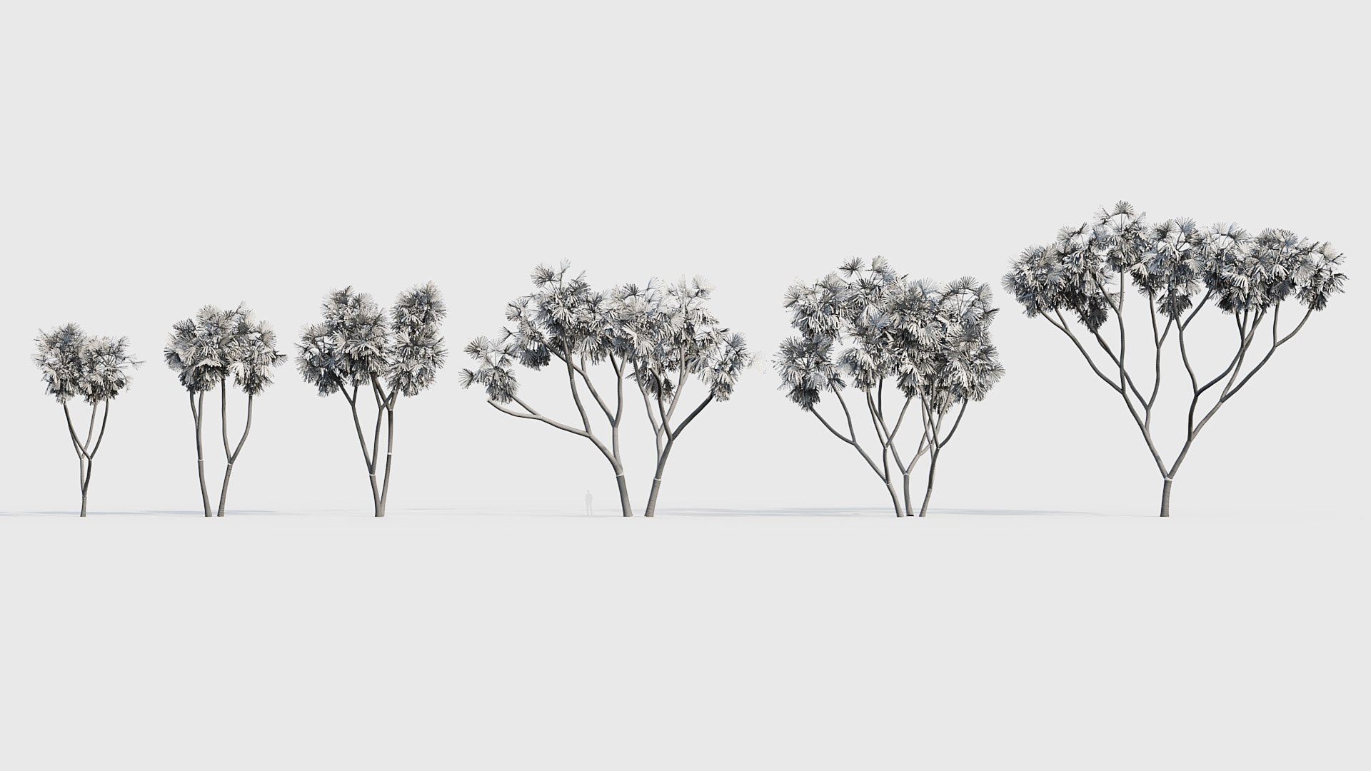 3D Hyphaene Thebaica Doum Palm - TurboSquid 2082657