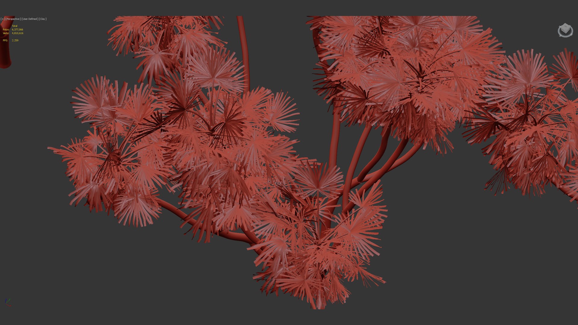 3D Hyphaene Thebaica Doum Palm - TurboSquid 2082657