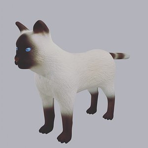Siamese 3D Models for Download | TurboSquid