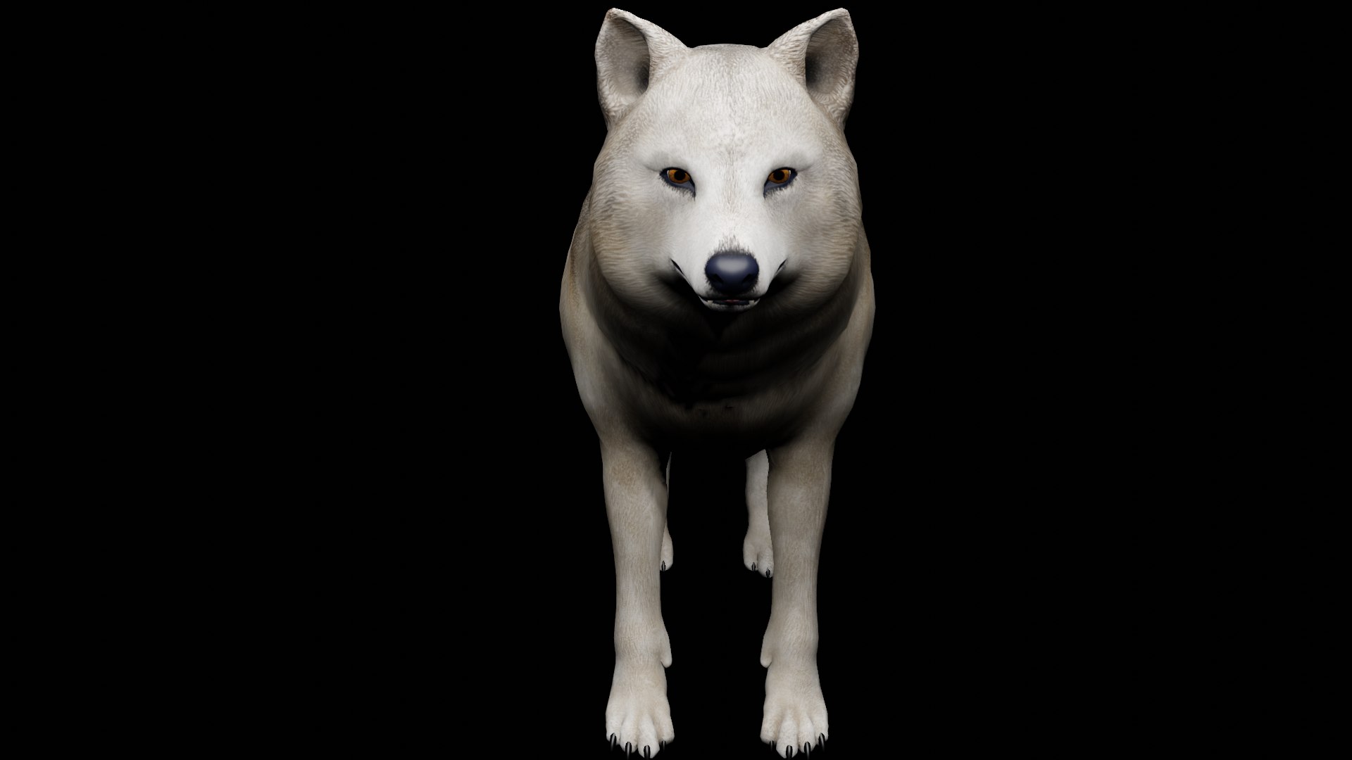 White Wolf 3D Model - TurboSquid 1781387