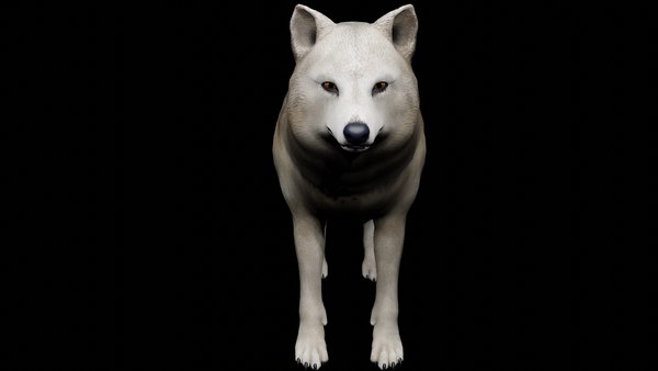 White Wolf 3D model - TurboSquid 1781387