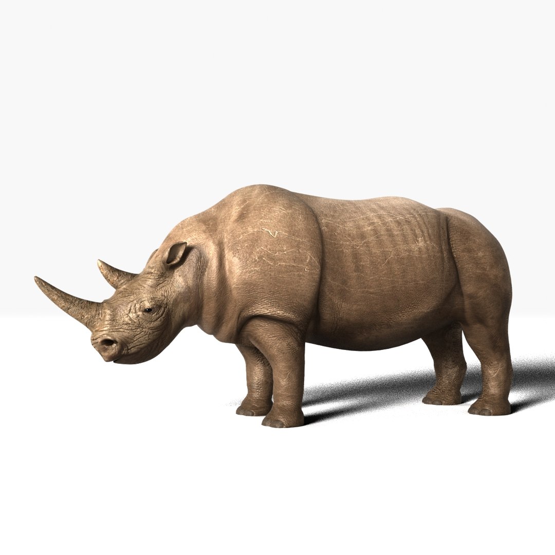 6 animals safari pack c4d