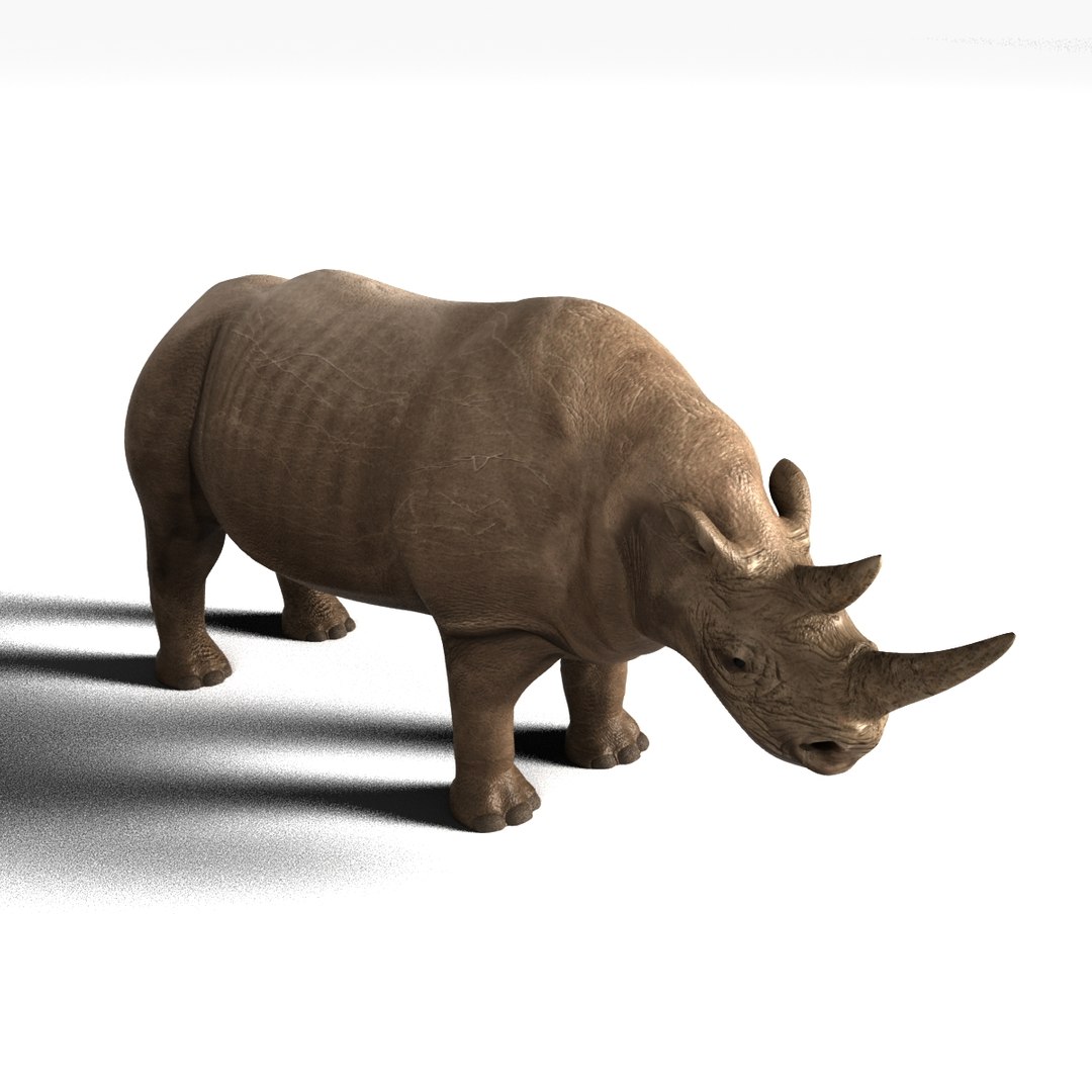 6 animals safari pack c4d