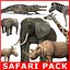 6 Animals Safari Pack C4d