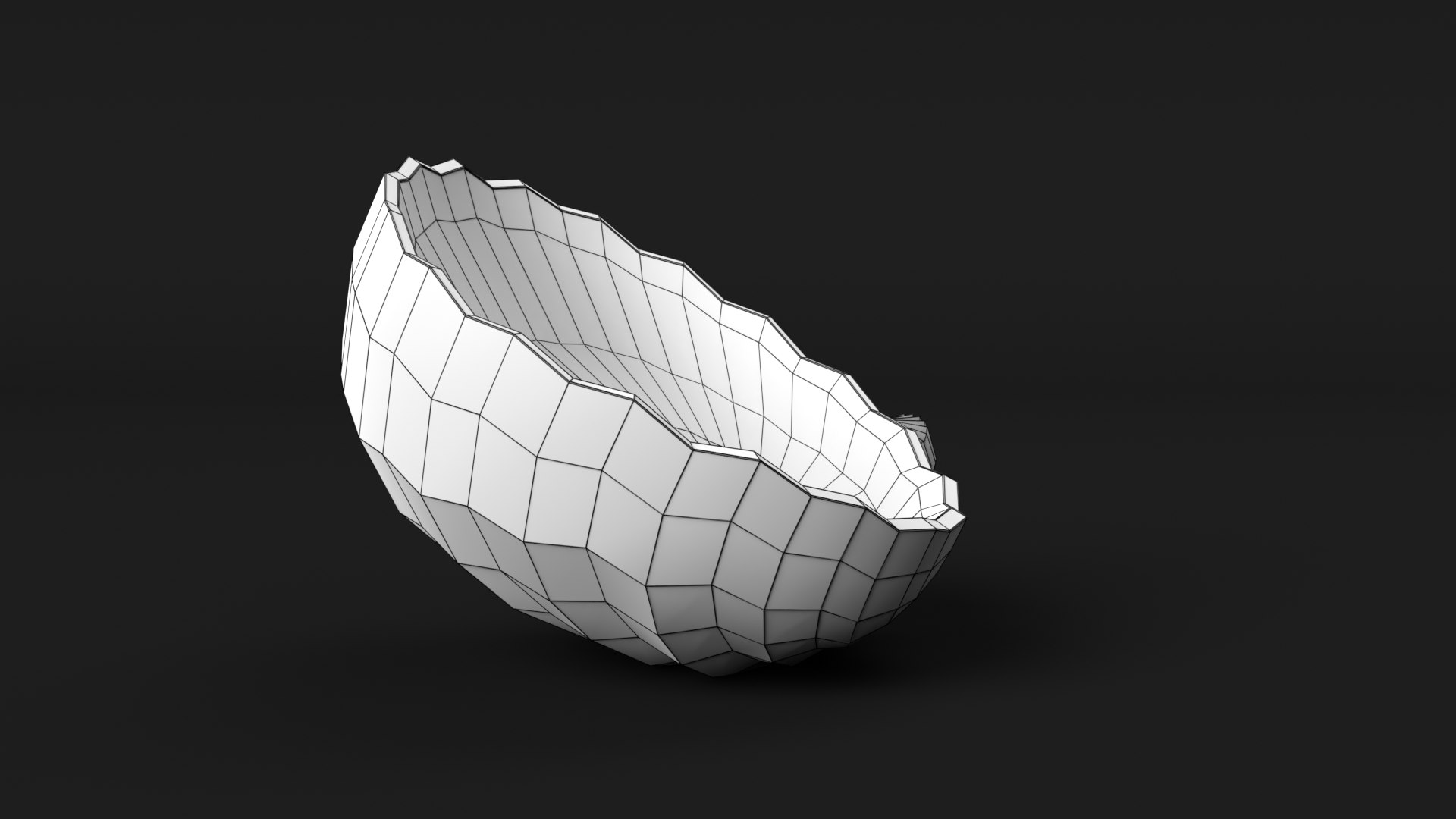 Seashell Shell Sea 3D Model - TurboSquid 1665741