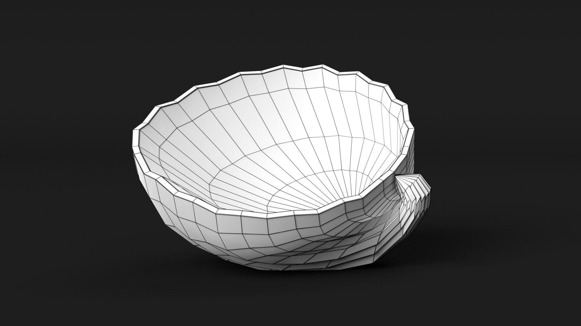 Seashell Shell Sea 3D Model - TurboSquid 1665741
