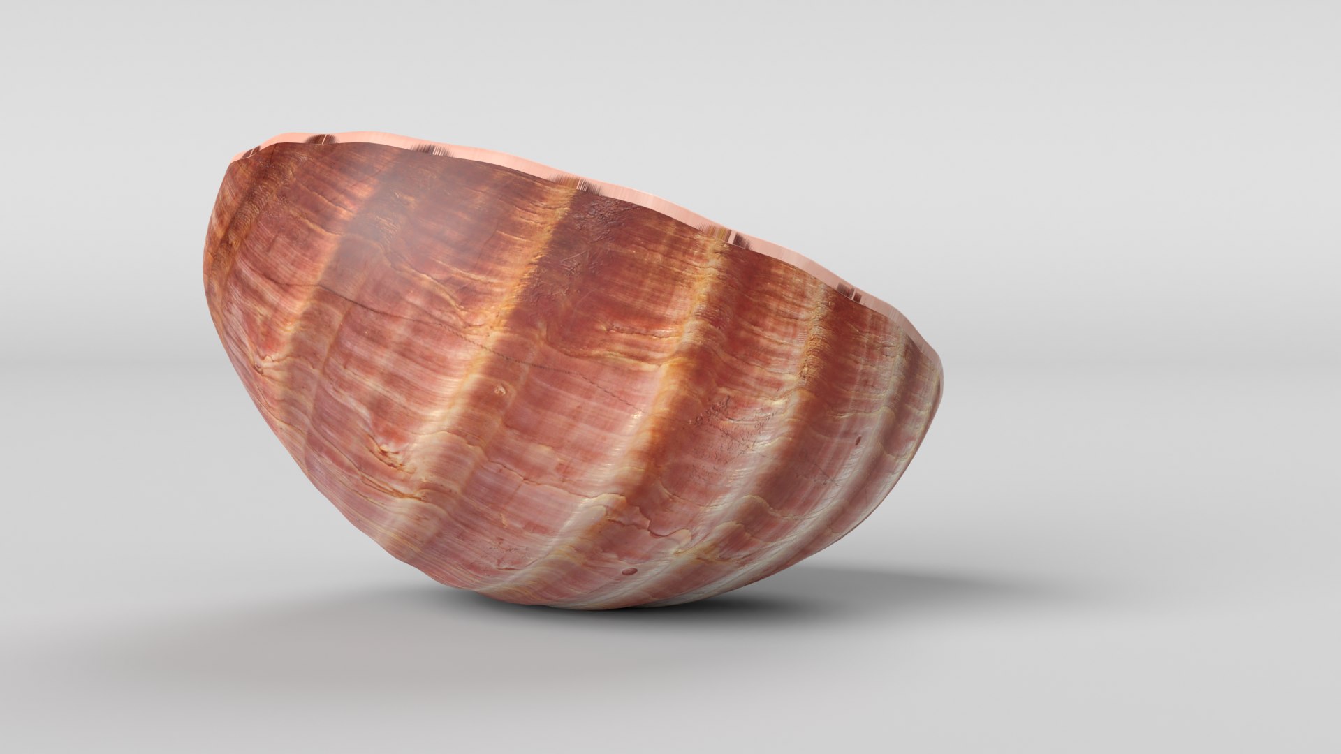 Seashell Shell Sea 3D Model - TurboSquid 1665741