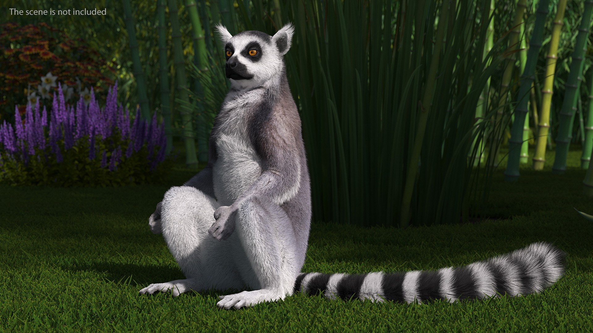 3D Lemur Catta Sitting Straight Fur - TurboSquid 2193600