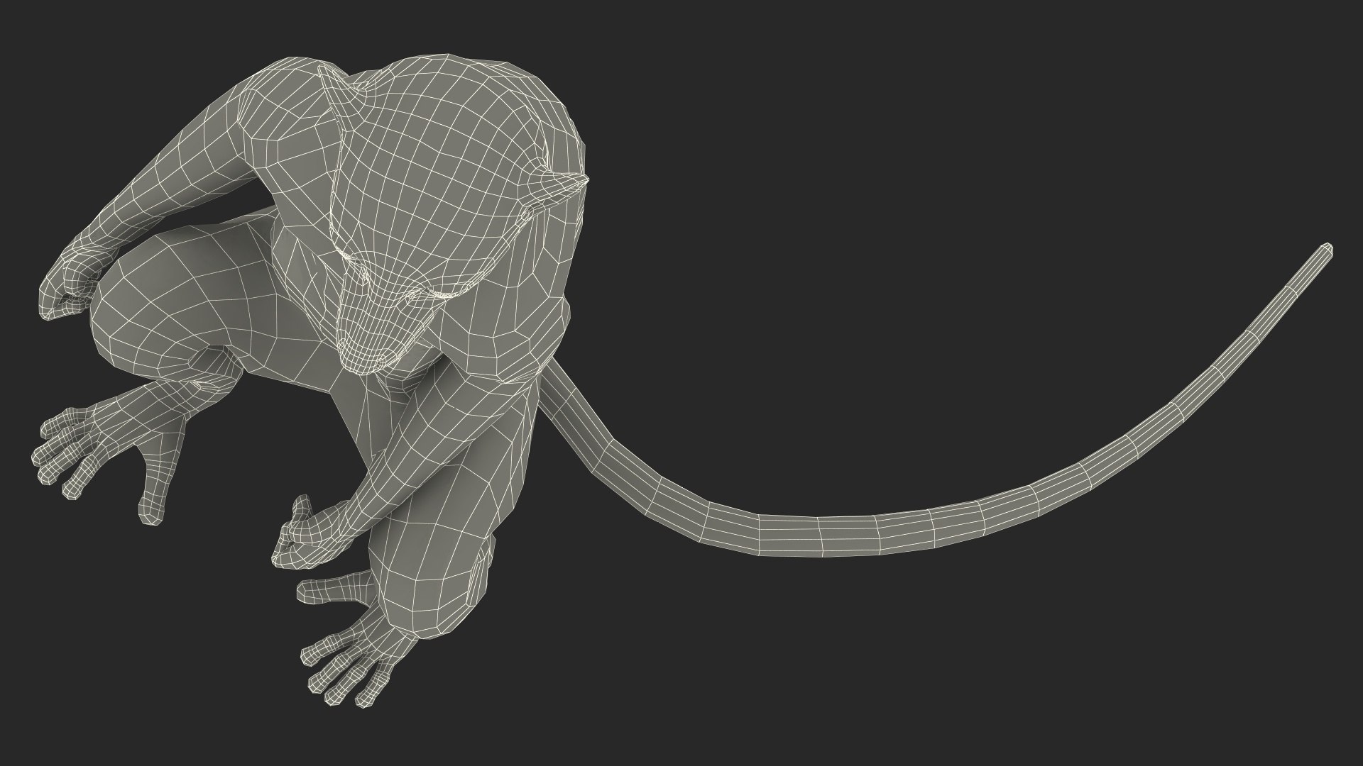 3D Lemur Catta Sitting Straight Fur - TurboSquid 2193600