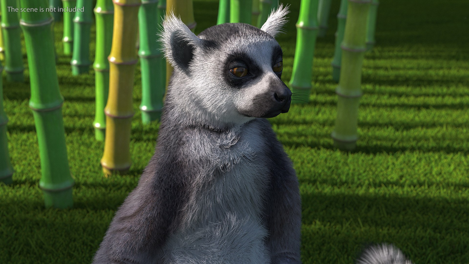 3D Lemur Catta Sitting Straight Fur - TurboSquid 2193600