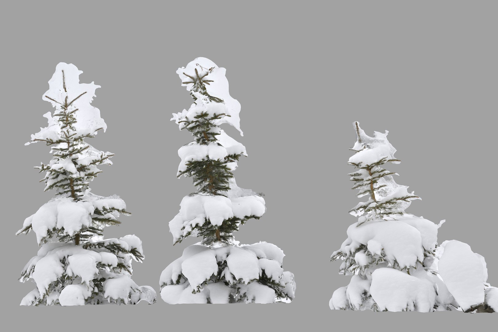 Frozen forest hd pack 3D - TurboSquid 1536828