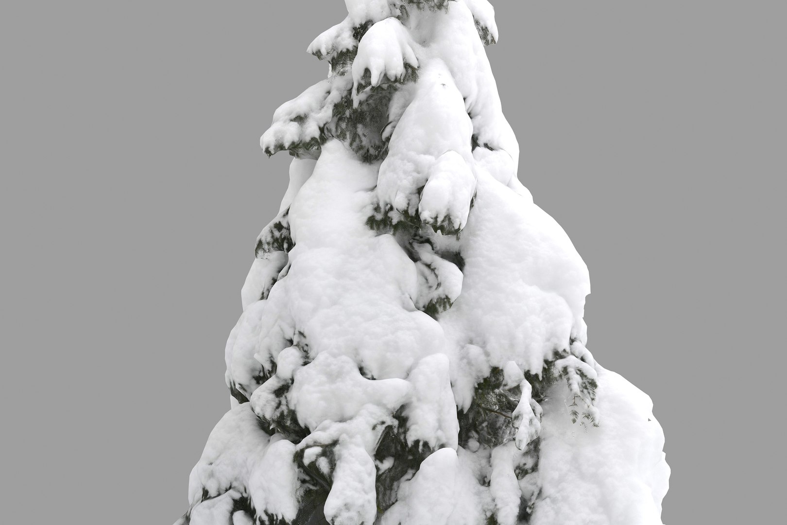 Frozen forest hd pack 3D - TurboSquid 1536828