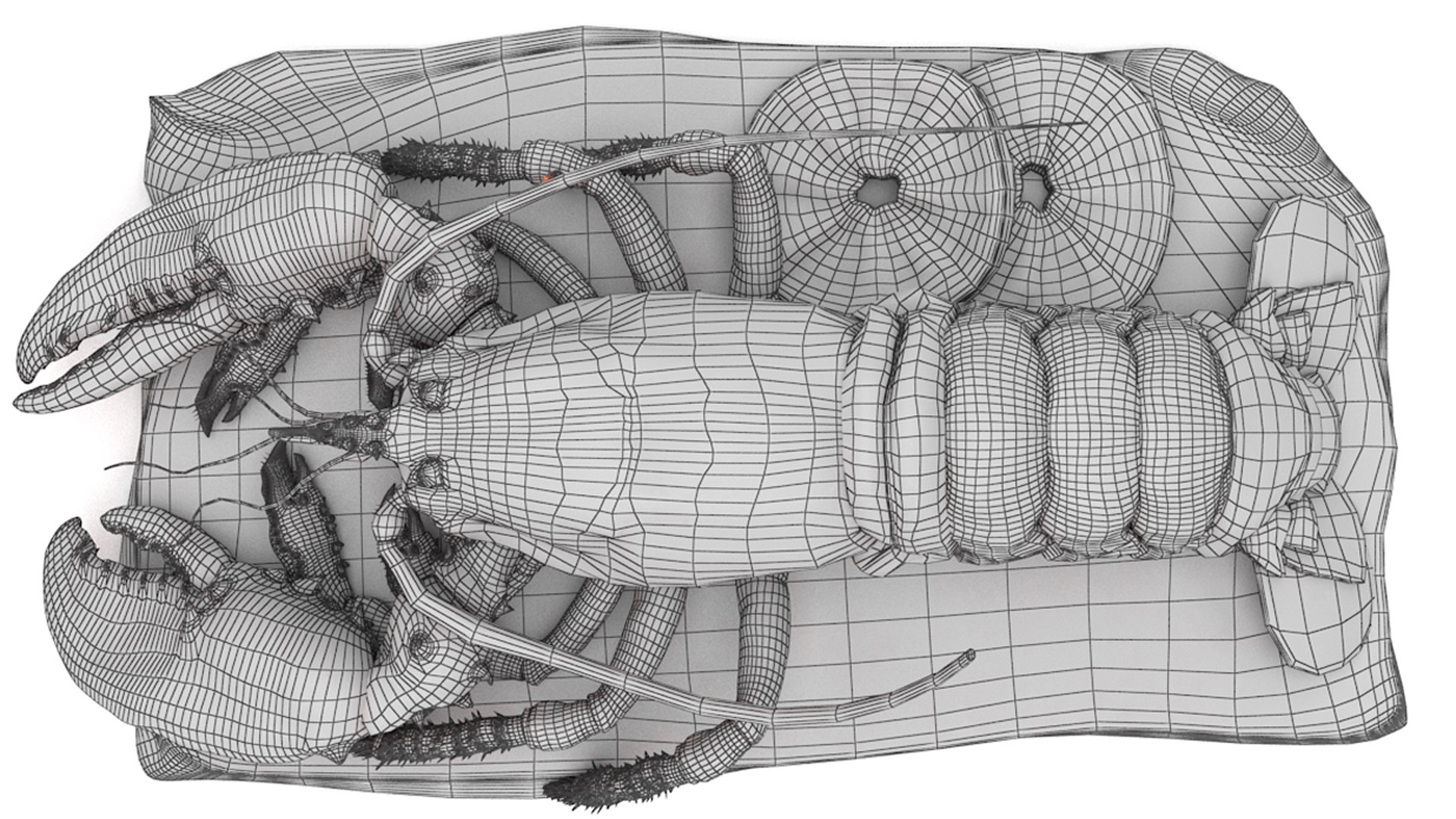 Lobster Set 3D Model - TurboSquid 1959082