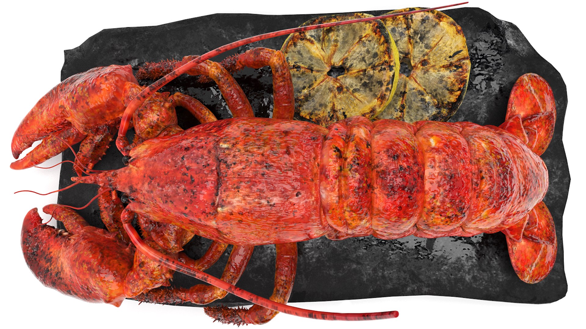 Lobster Set 3D Model - TurboSquid 1959082