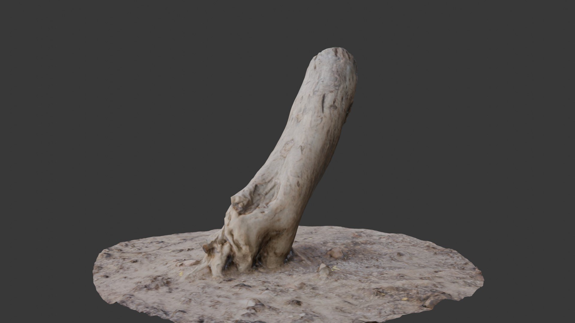 Leaning Tree Trunk With Roots Scan 3D - TurboSquid 2386047