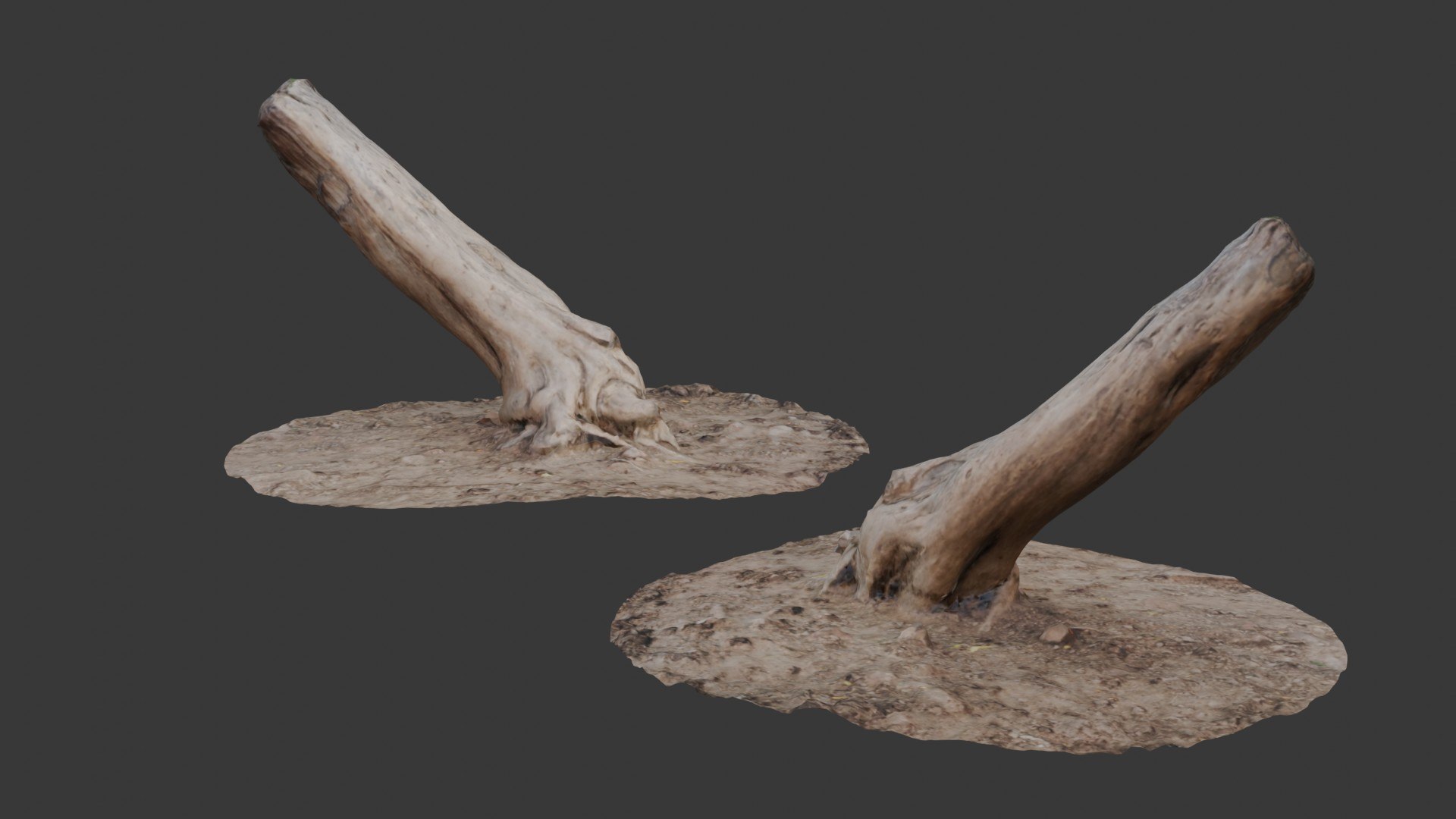 Leaning Tree Trunk With Roots Scan 3D - TurboSquid 2386047