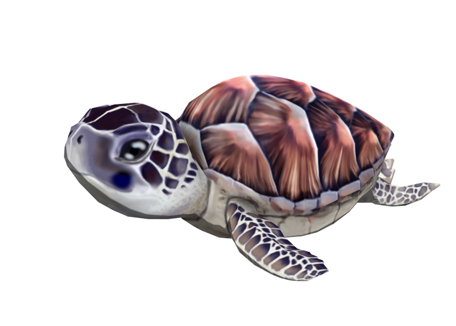 Sea Turtle Animation 3D Model - TurboSquid 1439487
