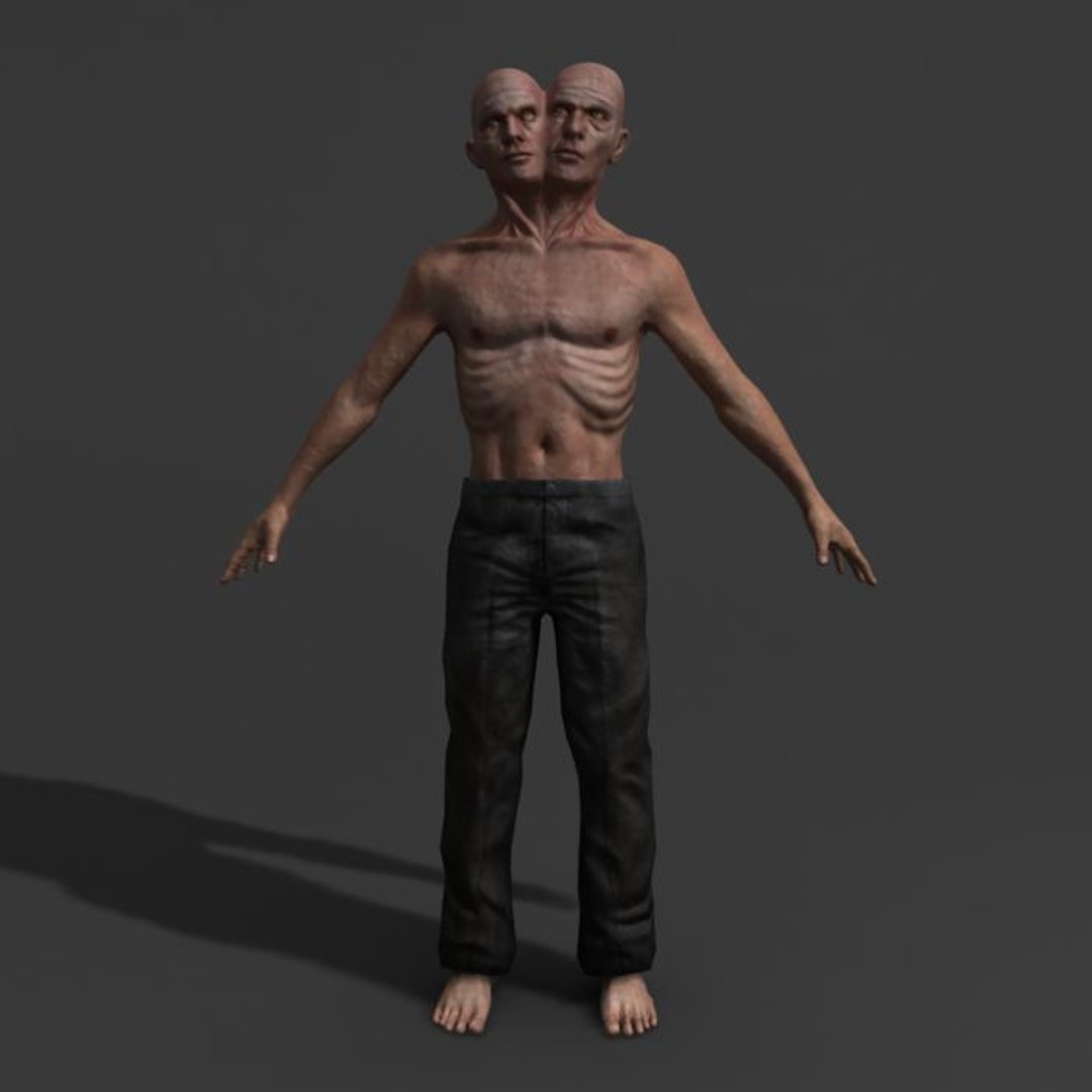 3d Rigged Character