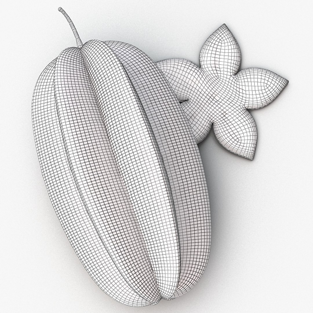 Star Fruit 3d Model