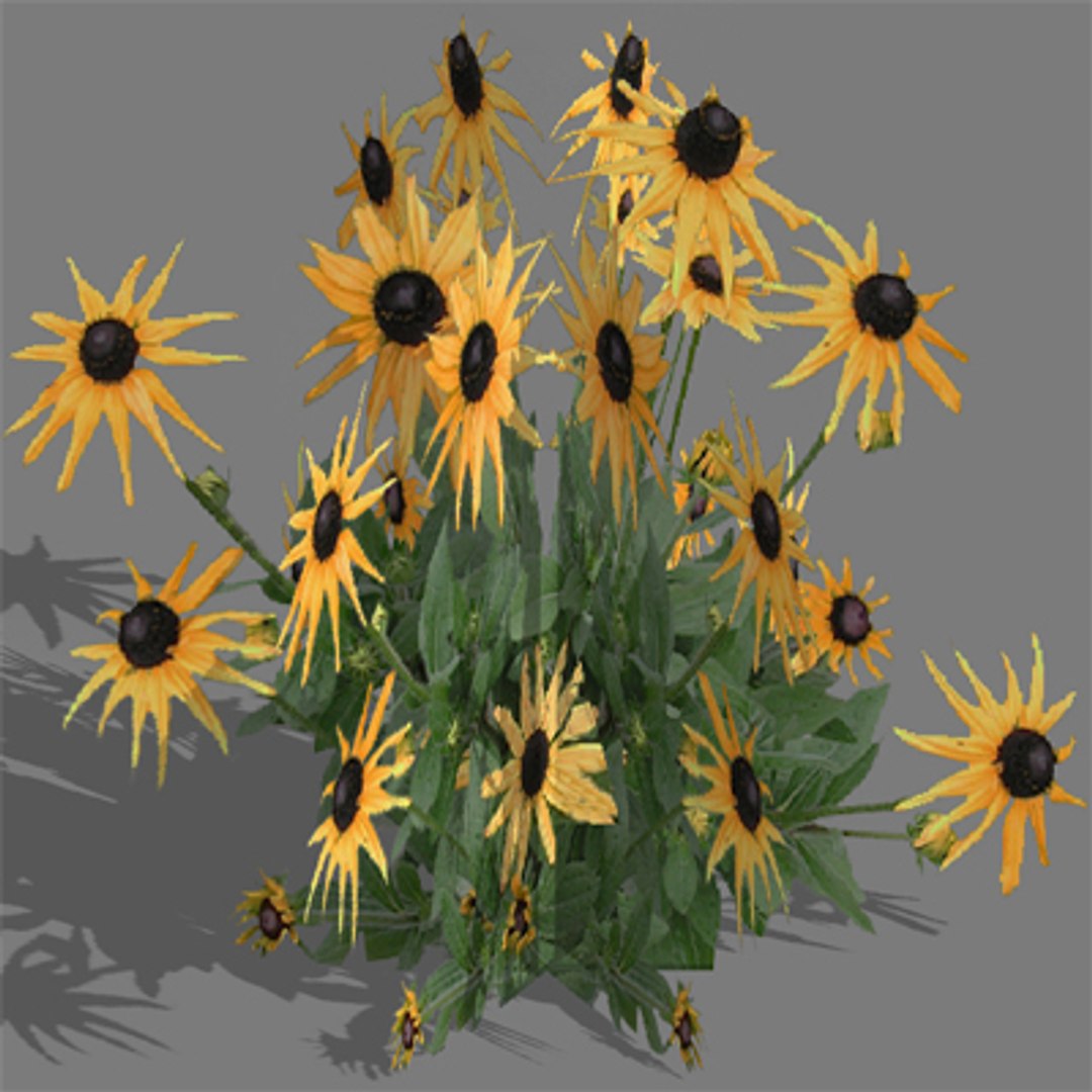 Flowers Polygons 3d 3ds