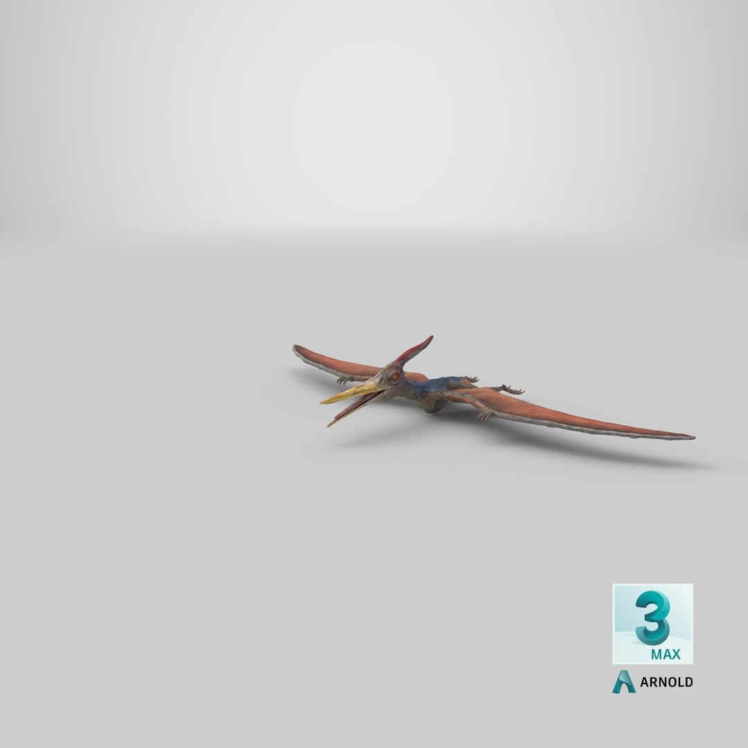 Pteranodon Pterosaur Dinosaurs 3D Model - TurboSquid 1382847