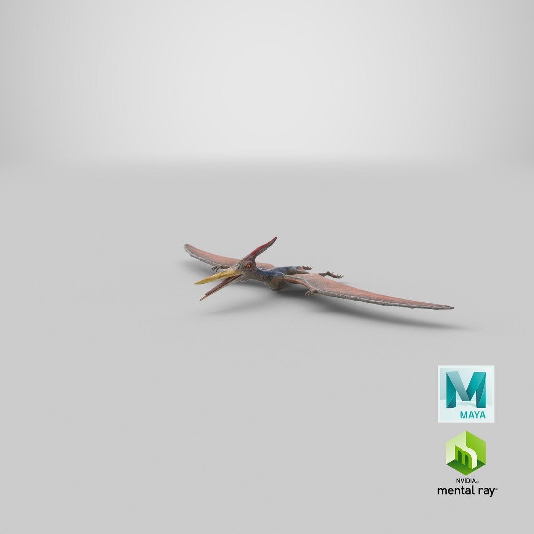 Pteranodon Pterosaur Dinosaurs 3D Model - TurboSquid 1382847