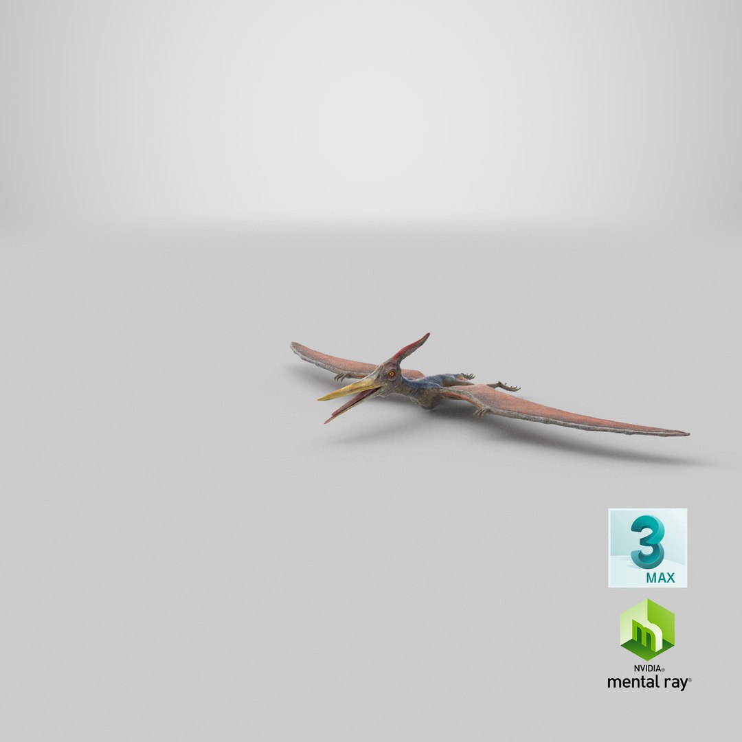 Pteranodon Pterosaur Dinosaurs 3D Model - TurboSquid 1382847