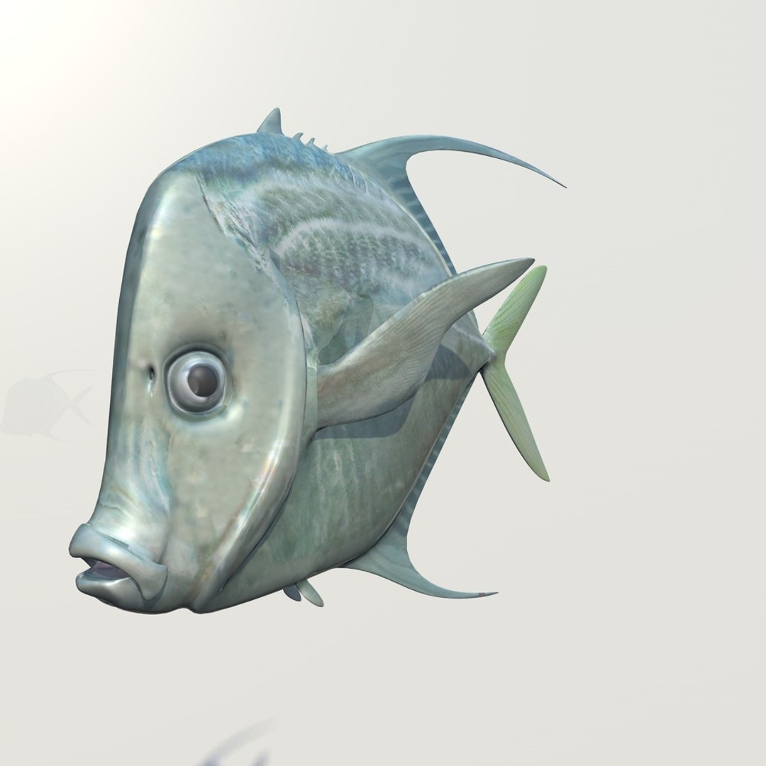 3d Lookdown Fish Model